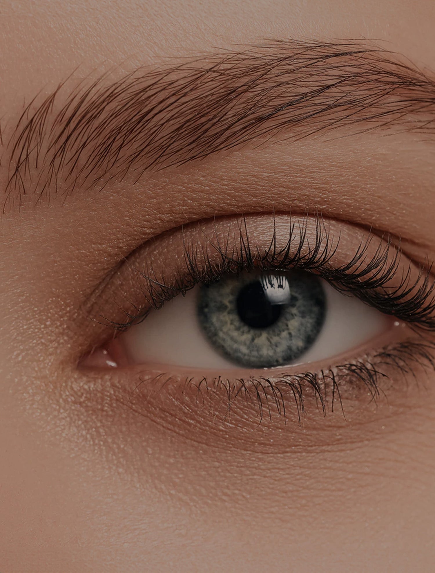 Tips for Mastering Perfectly Arched Brows – RevitaLash Cosmetics ...